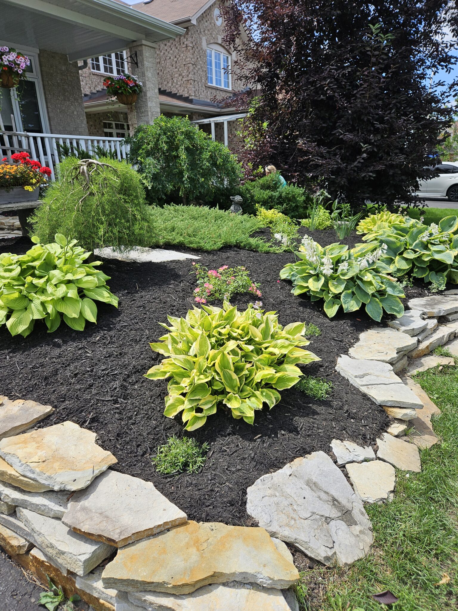 Garden Services - Pro Gardens Plus