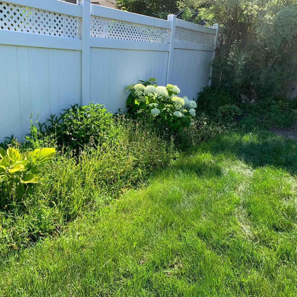 Garden Services - Pro Gardens Plus