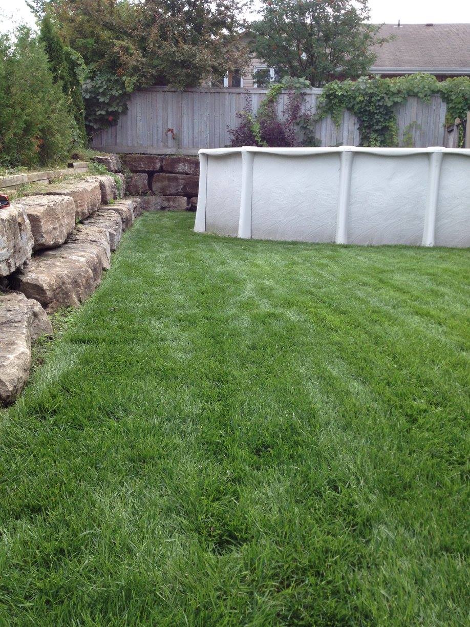 Lawn Maintenance - Pro Gardens Plus