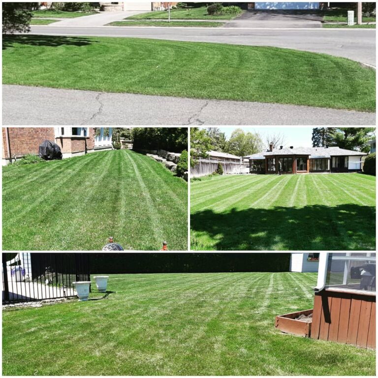 Lawn Maintenance - Pro Gardens Plus