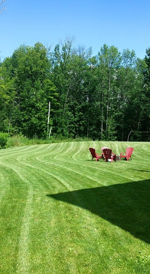 Lawn Maintenance - Pro Gardens Plus