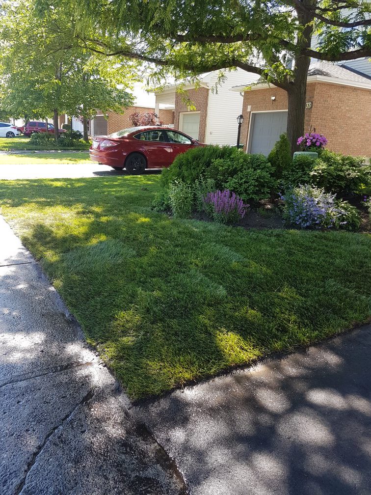 About - Pro Gardens Plus