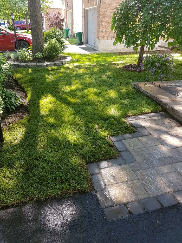 About - Pro Gardens Plus